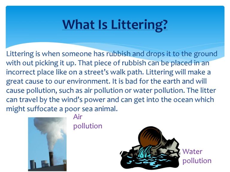 Littering Facts for Kids - Entelechy