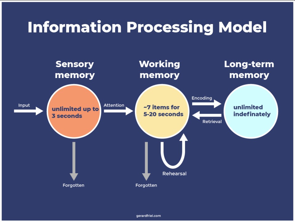 Cognitive Load Theory And Instructional Design - Entelechy