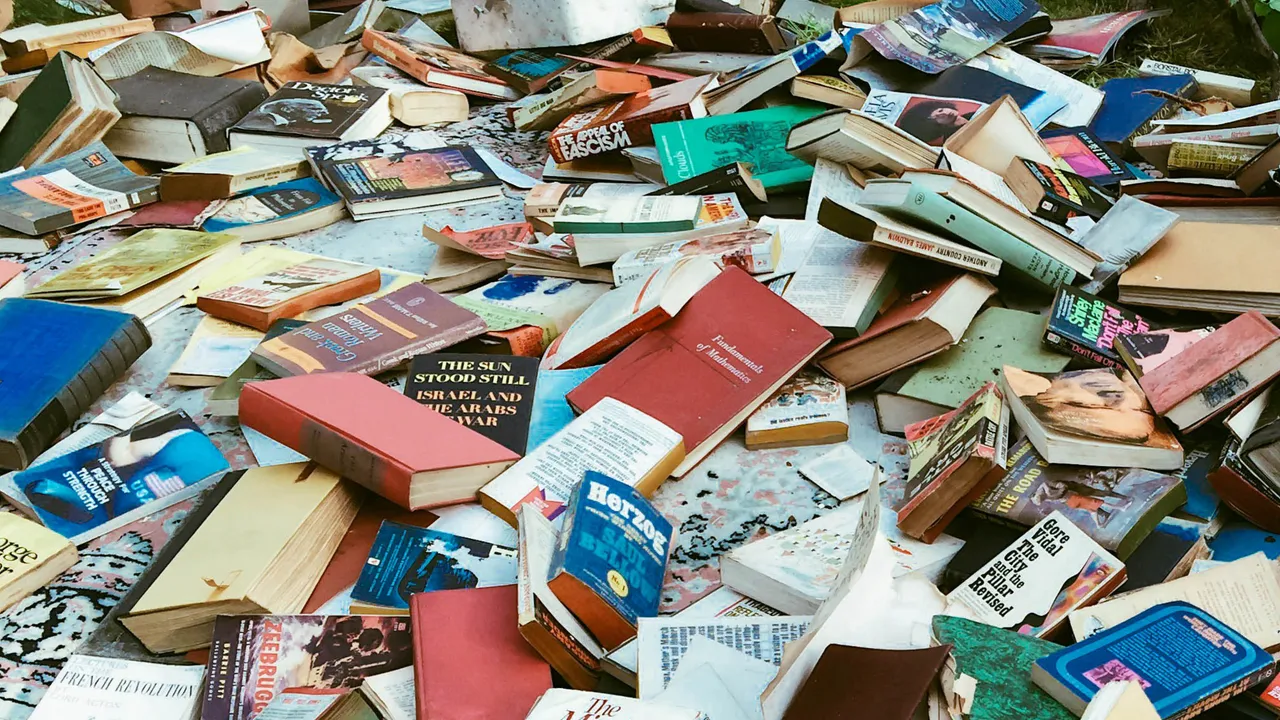 Senators Slam Alleged Book Dumping at New College of Florida - Entelechy